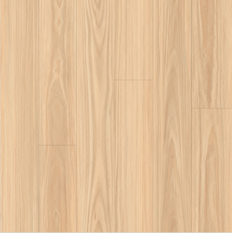 Blackbutt Luxflor Plus 8mm Laminate Flooring Sale | FloorVenue