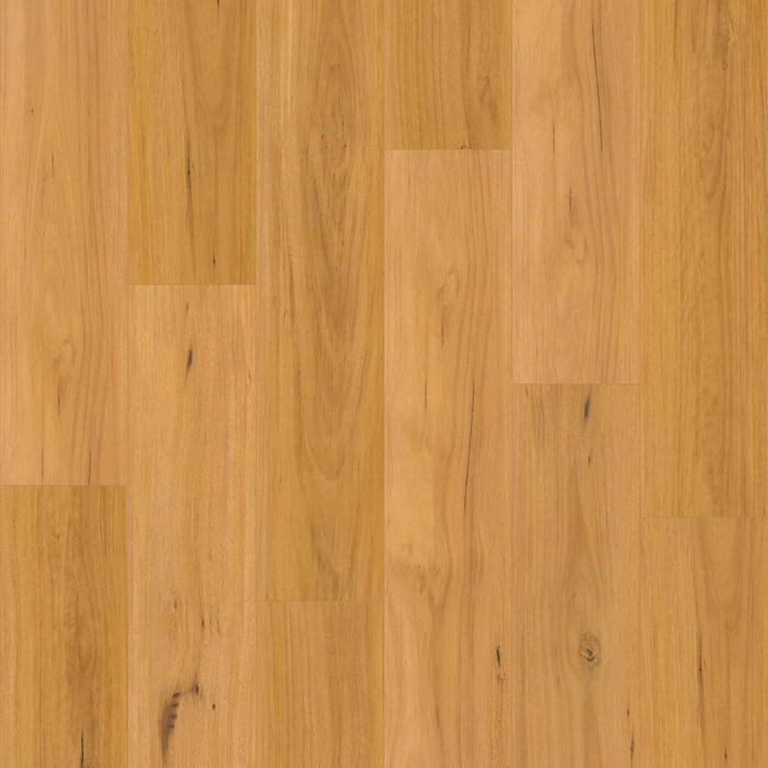 Coastal Blackbutt Luxflor Plus 8mm Laminate Flooring Sale | FloorVenue